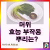 머위나물 효능 부작용 칼로리 영양성분 머위뿌리 먹어도 될까 네이버 블로그